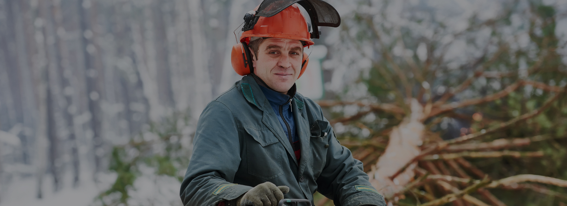 A1 Tree Pros | Affordable Tree Removal and Trimming Services in MD